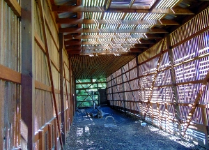 Inside the Flight Cage - The Zoo Review