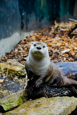 Topeka Zoo - The Zoo Review