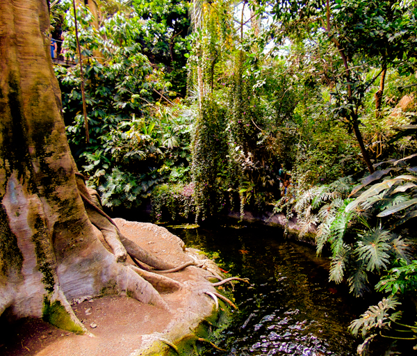 Visit the Zoo Day - The Zoo Review